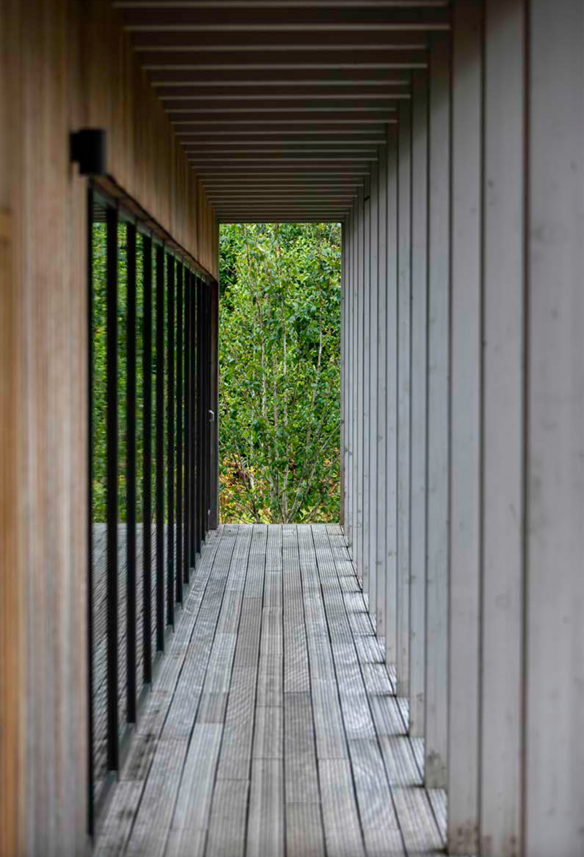 Helen Lucas Architects Edinburgh | project | trossachs estate swimming ...